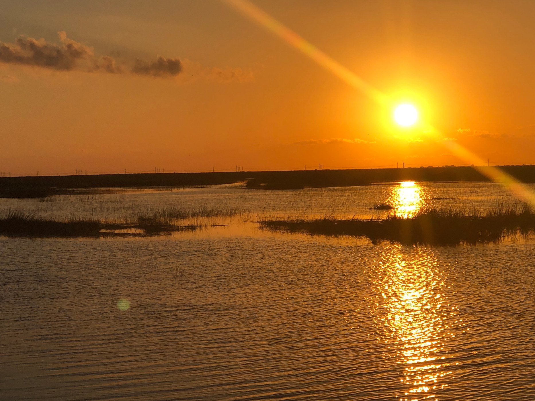 Sunset Airboat Tours | Golden Hour Everglades Excursions